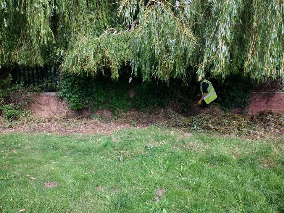 Recent Photos of Work at Lache Lane Entrance | Friends of Westminster Park